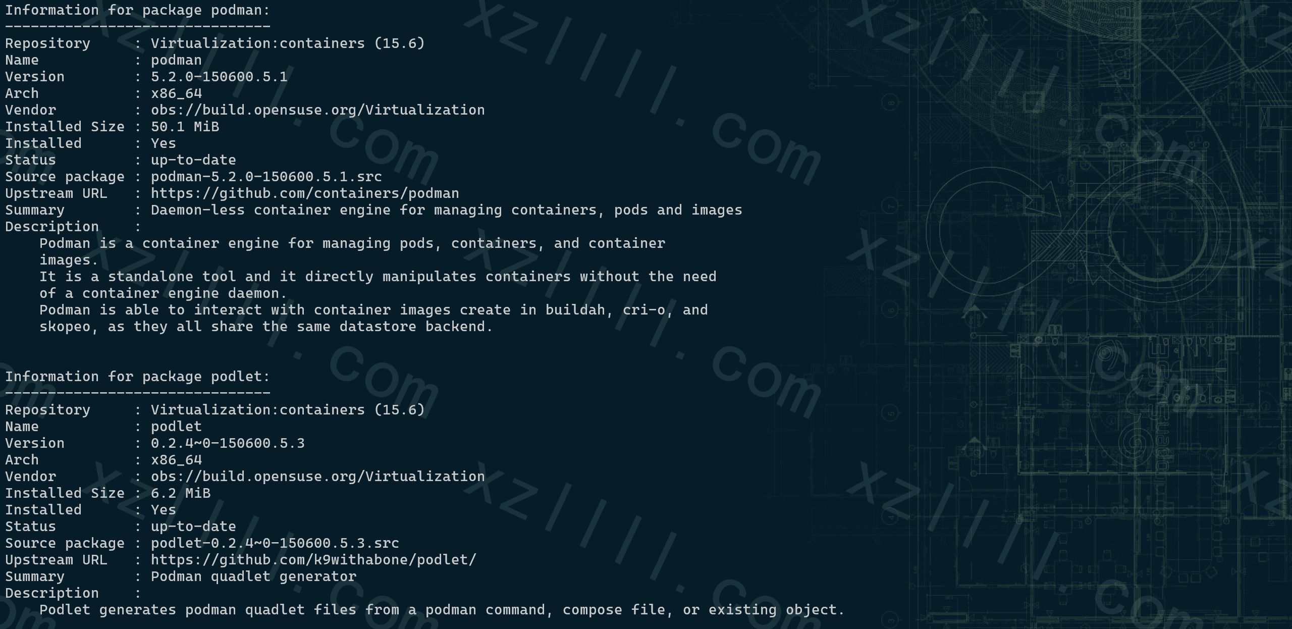 Quadlet | 结合Systemd优雅启动容器(containers)