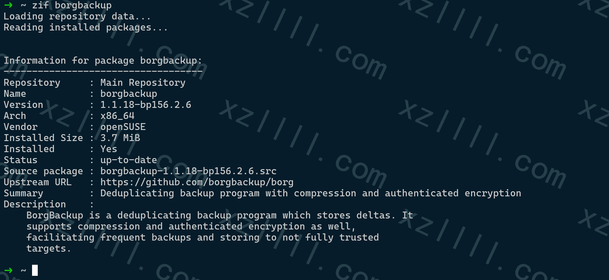 Borgbackup | 优异的Linux备份软件(使用指北)